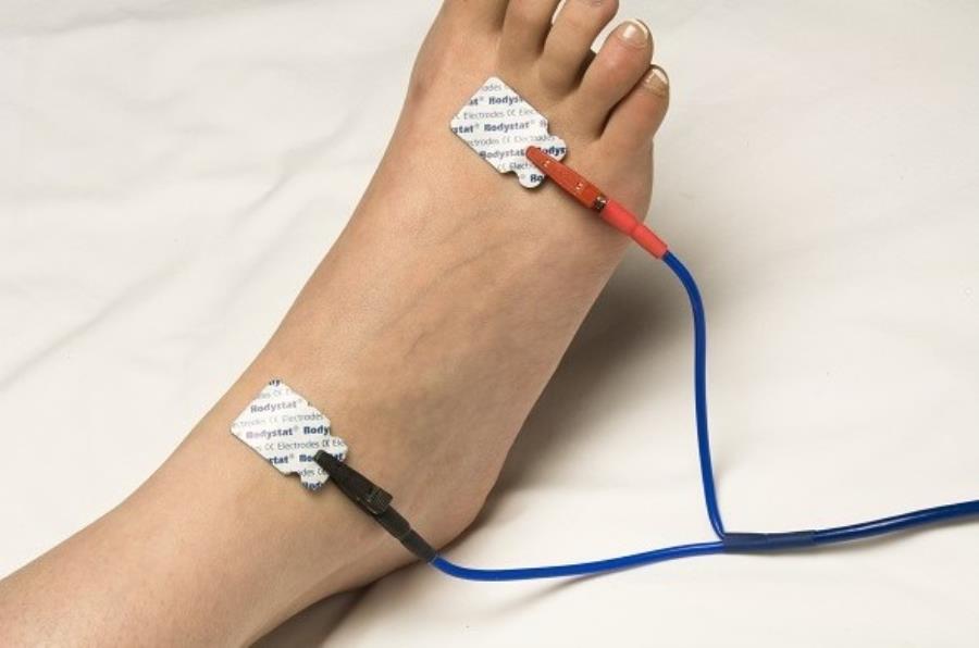 Bodystat 500 - Bioimpedanciómetro portátil + 120 Electrodos ...